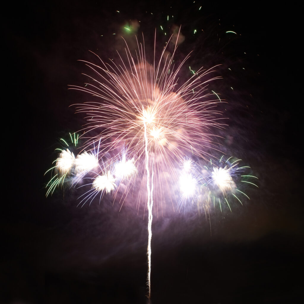 Is It A Fireworks Product Or Sex Toy Wnor Fm99