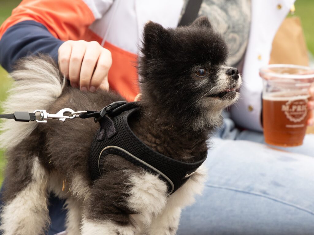 Peninsula SPCA’s Tailgate Party - WNOR FM99