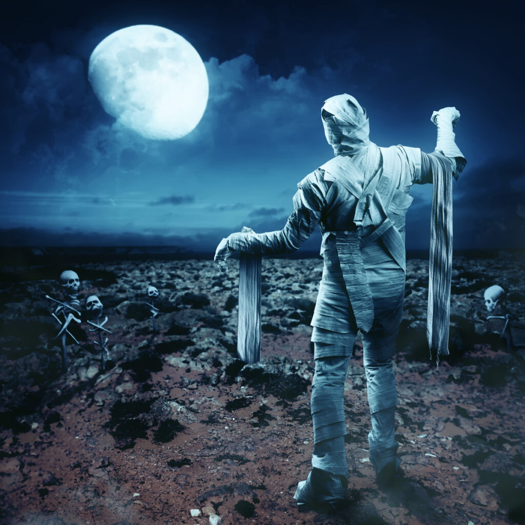 Humping the Mummy - WNOR FM99