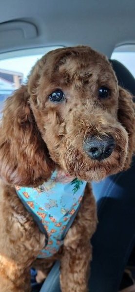 January 21, 2026 – Penny - WNOR FM99