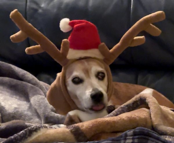 January 22, 2026 – Katie Mae - WNOR FM99