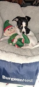 January 28, 2026 – Nina - WNOR FM99