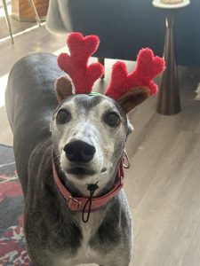 January 29, 2026 – Maya - WNOR FM99